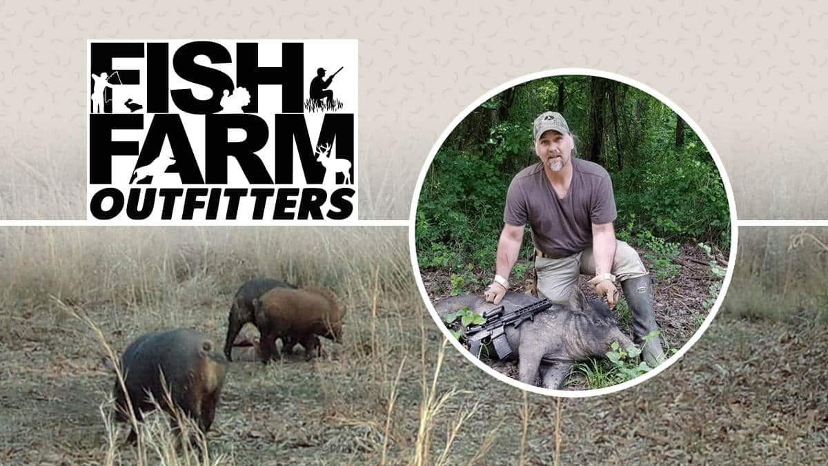 Oklahome Feral Hog Density Map - Number of Hogs by County in Oklahoma